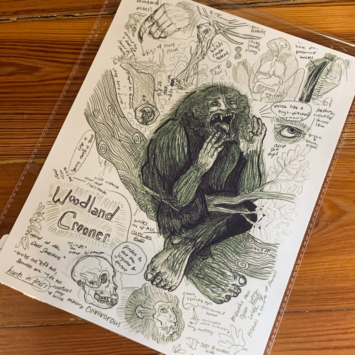 Woodland Crooner - WV Cryptid Art Print - 8.5 x 11 – The Red Caboose