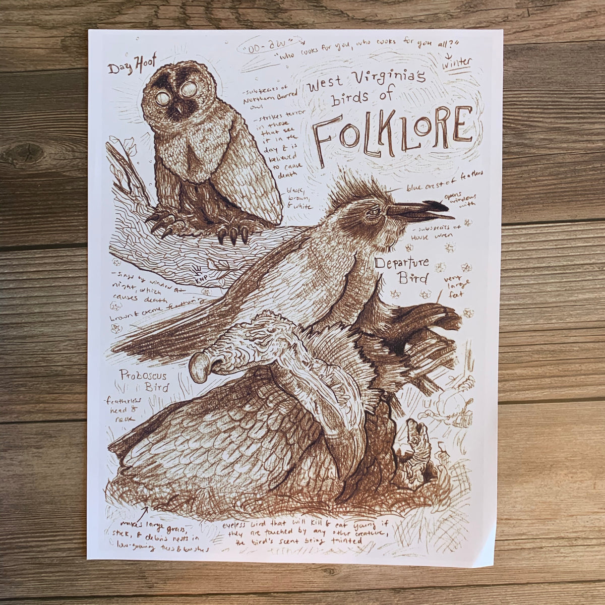 West Virginia Birds of Folklore - WV Cryptid Art Print – The Red Caboose