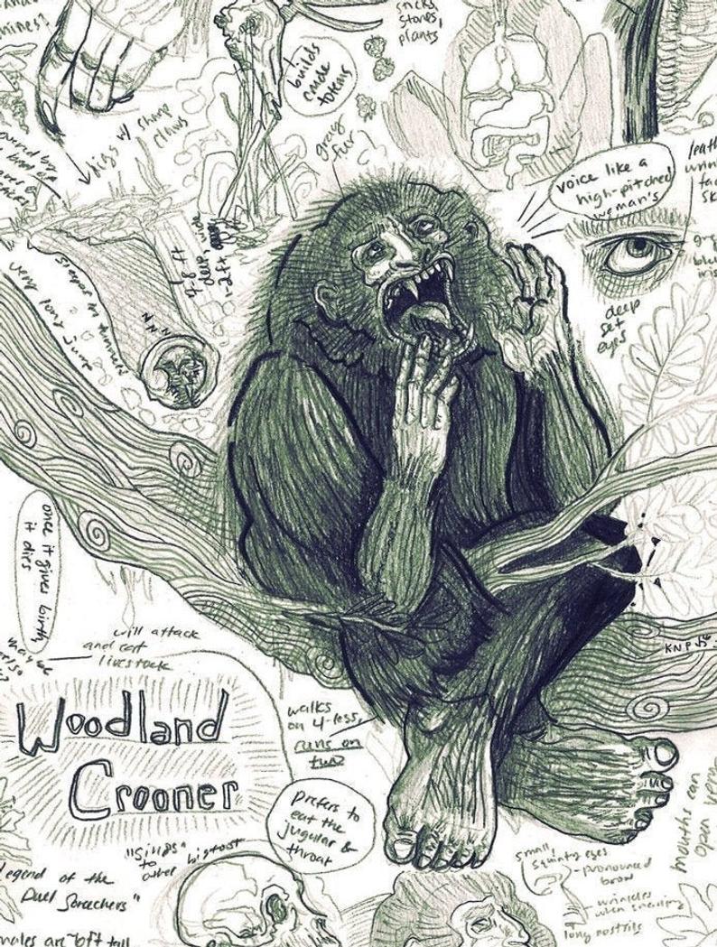 Woodland Crooner - WV Cryptid Art Print - 8.5 x 11 – The Red Caboose